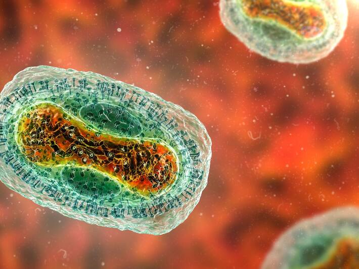 Mpox Virus Outbreak: What We Know About Symptoms of Monkeypox So Far ...