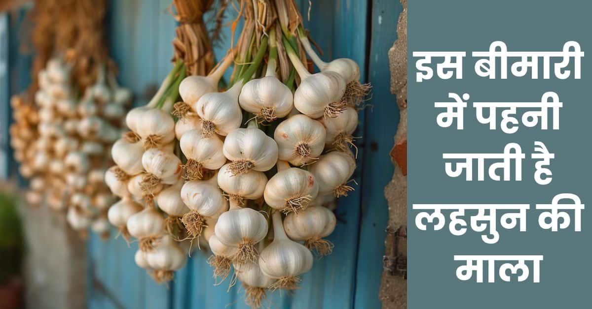 Lahsun ki mala pahanane ke fayde: इन सीजनल बीमारियों में पहनी जाती है कच्चे लहसुन की माला ...