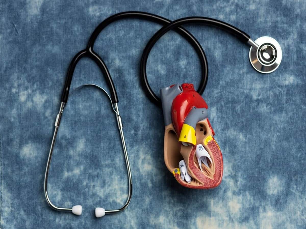 Coronary Artery Blockage: Know The 7 Early Warning Signs From An Expert ...