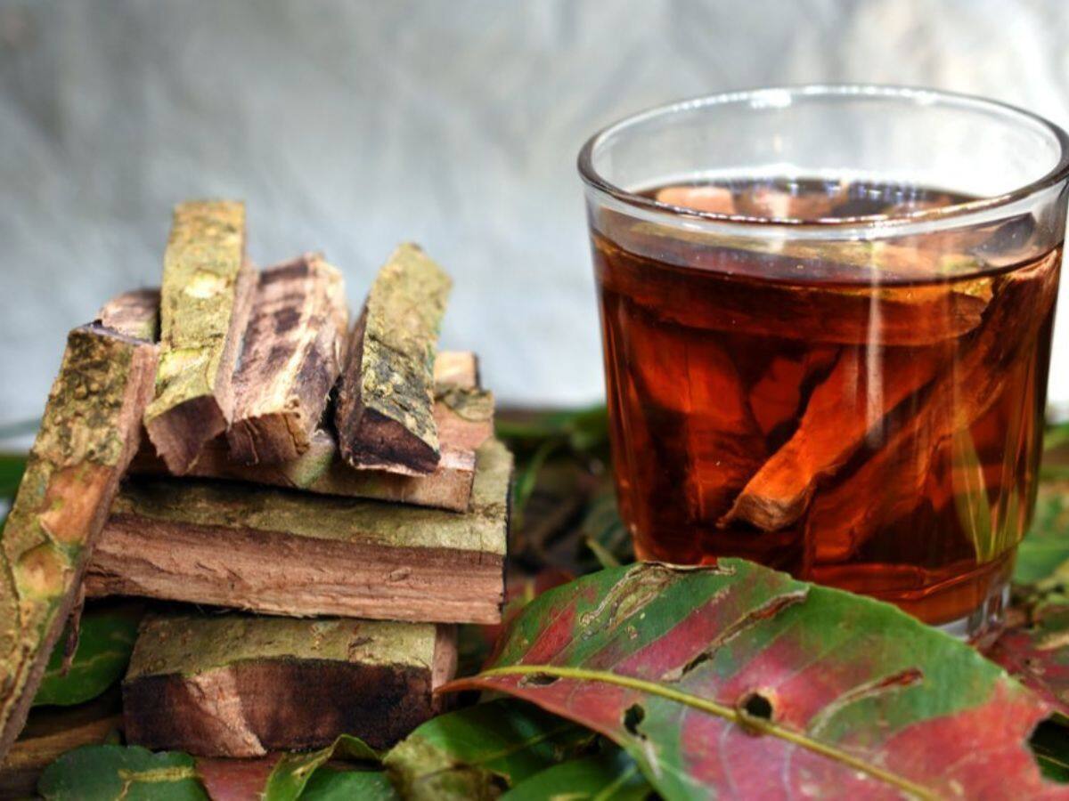 High Cholesterol? Discover How Arjuna Bark Tea Can Help Naturally ...