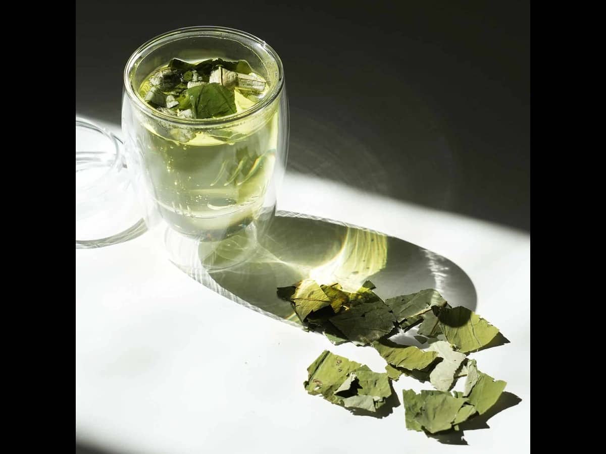 7 Reasons To Sip Lotus Leaf Tea For Better Health | TheHealthSite.com