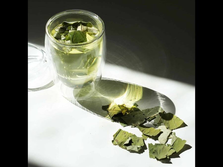 7 Reasons To Sip Lotus Leaf Tea For Better Health | TheHealthSite.com
