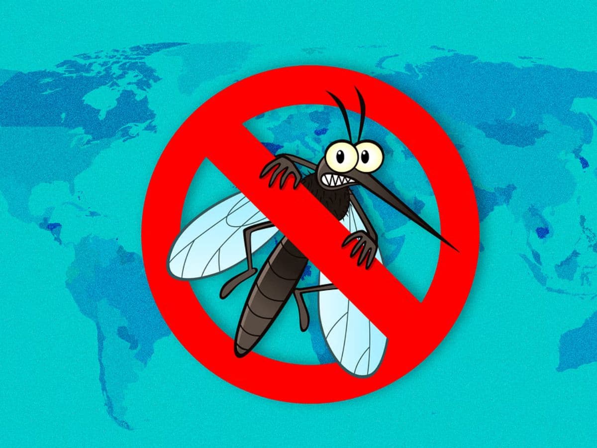 Malaria Epidemic: What Are the Most Effective Diagnostic Tests for ...