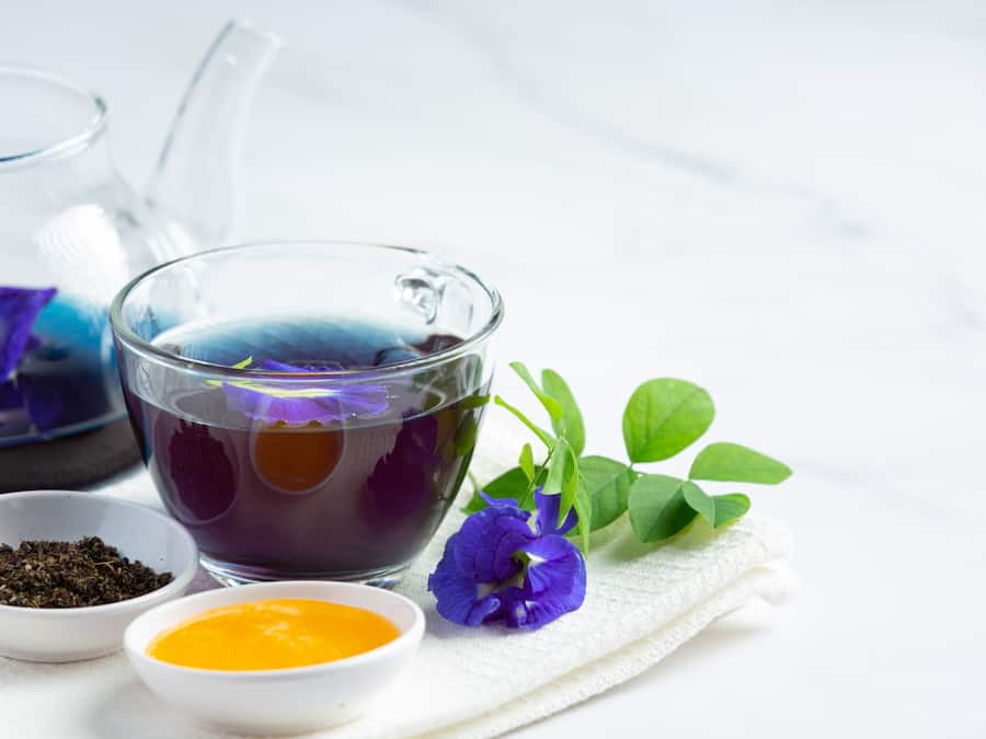 Shankhpushpi Chai: 5 Unknown Health Benefits Of Blue Tea ...