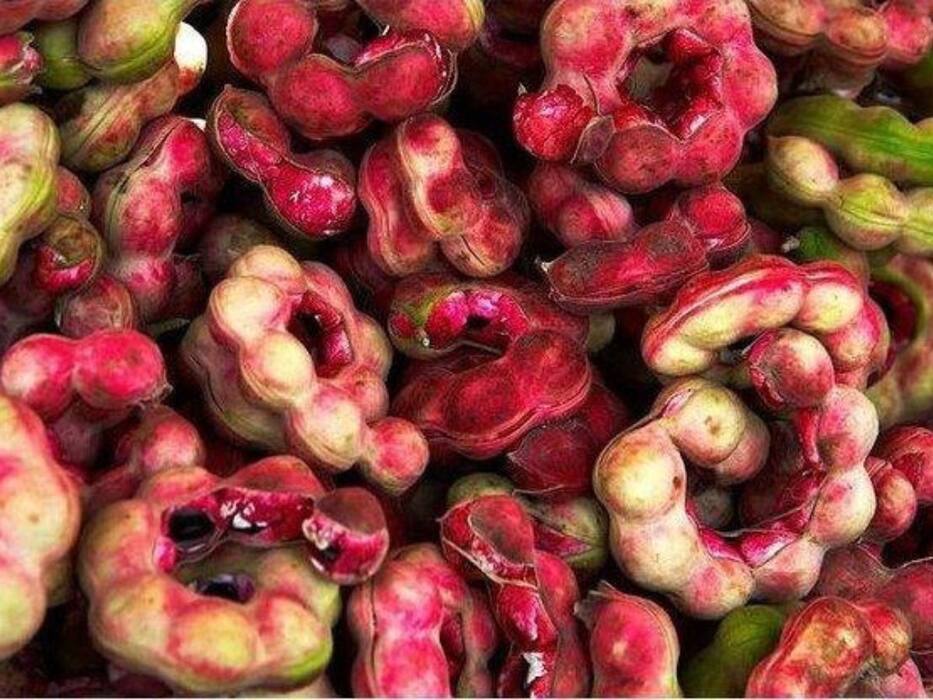 4 Lesser-known Fruits With Amazing Health Benefits | TheHealthSite.com ...