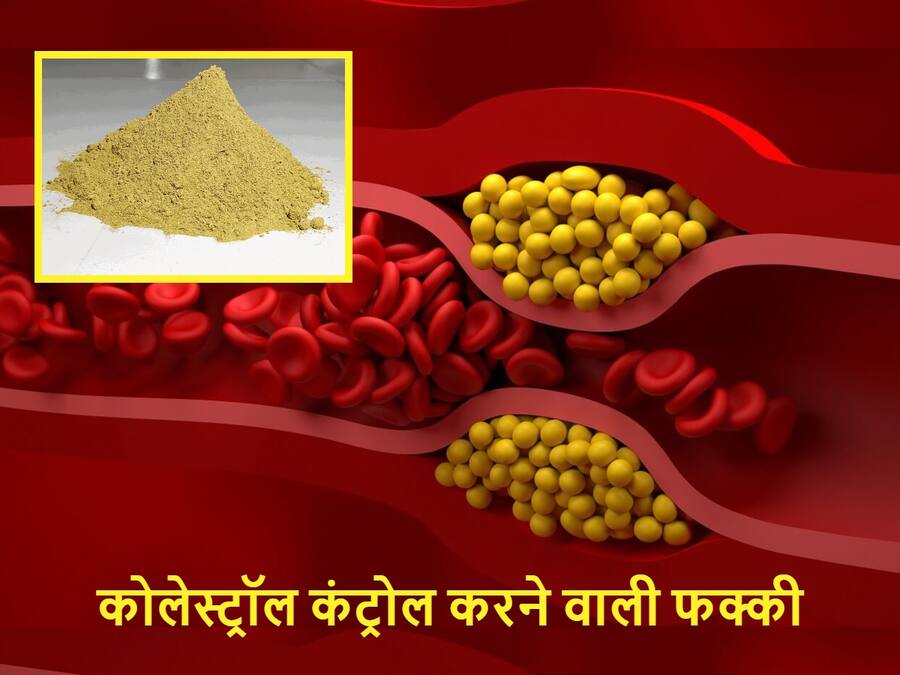 शरीर में जमा बैड कोलेस्ट्रॉल को निकाल देगी 3 चीजों से बनी ये खास तरह की ...