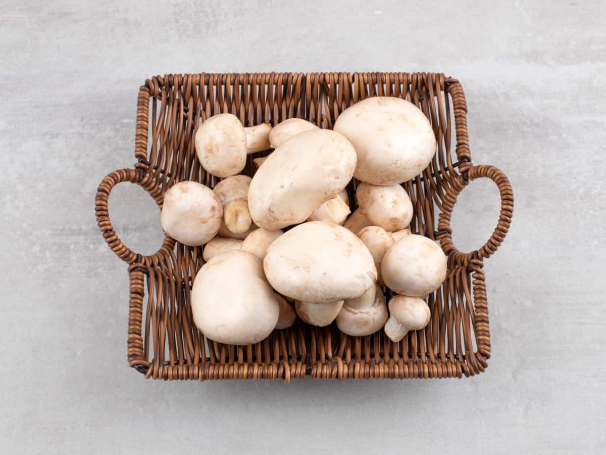 Mushroom Health Benefits: 8 Reasons Why Women Should Eat Mushrooms ...