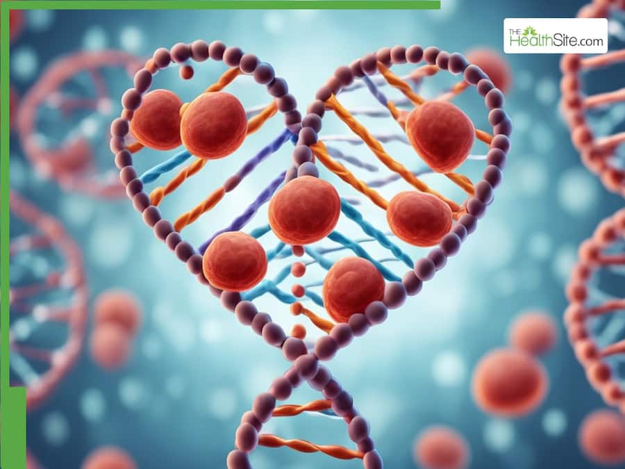 How Genetics Shape Your Cardiovascular Health | TheHealthSite.com
