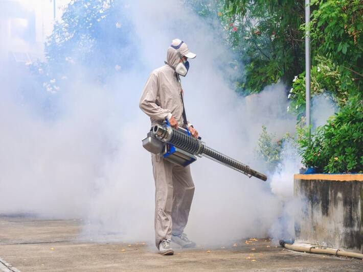 6 Effective Strategies For Dengue Prevention: Diet, Lifestyle, Other ...