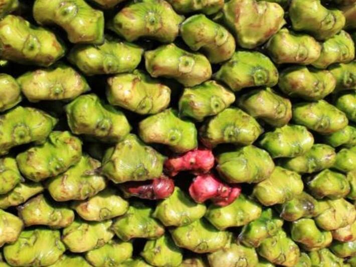 7 Energy-Boosting Foods For Office Goers To Eat During Navratri Fasting ...