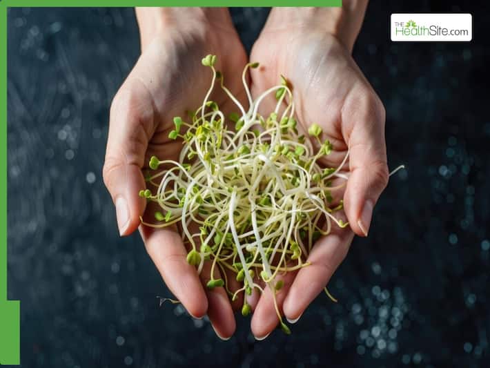 Better Nutrition: 5 Things That Happen When You Start Sprouting Your ...