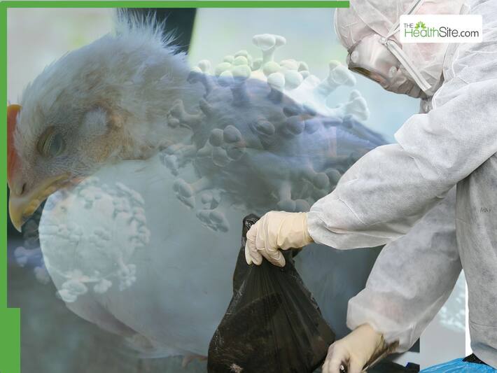 CDC Confirms First Severe Bird Flu Cases To Mystery Illlness grips ...