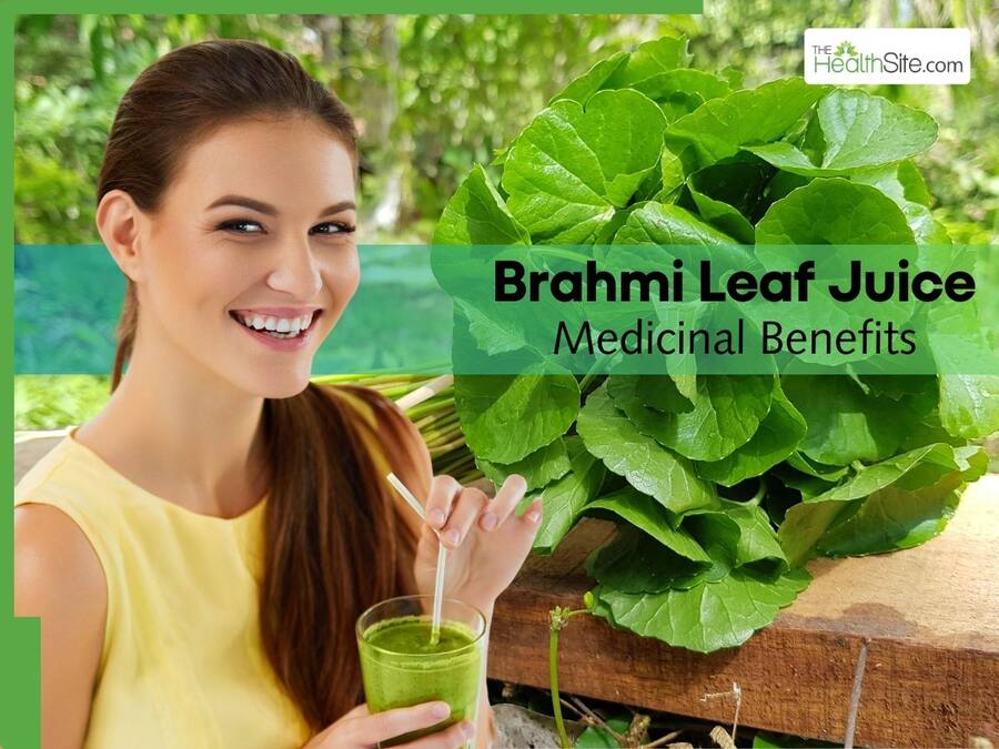 10 Medicinal Health Benefits of Drinking Brahmi Leaves Juice Every Morning | TheHealthSite.com