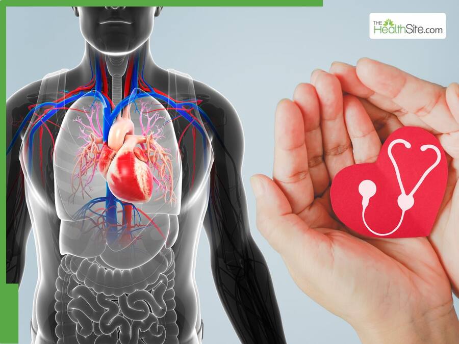 Healthy Heart Signs: 7 Indicators You Are Not At Risk of a Heart Attack ...