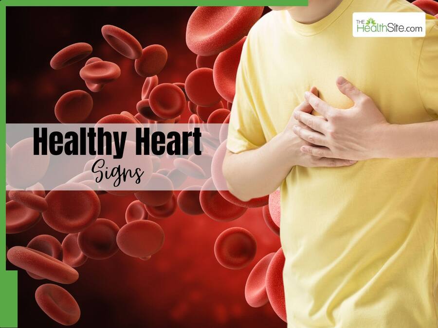 Healthy Heart Signs: 7 Proven Indicators of Good Cardiovascular Health ...