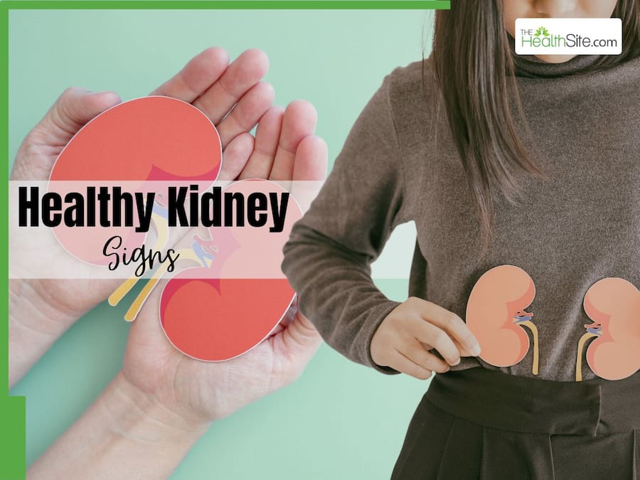 Healthy Kidney Signs: 4 Expert-Backed Tips from a Nephrologist to ...