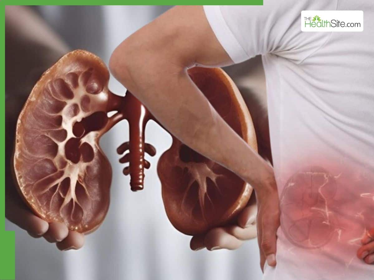 Healthy Kidney Signs: 7 Indicators That Say Your Kidneys Are Working ...