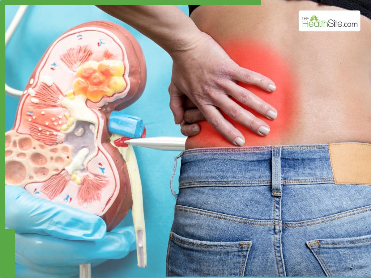 Kidney Damage Prevention Tips: 7 Nighttime Drinks to Keep Your Renal ...