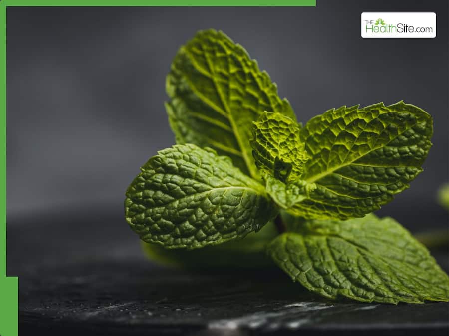 Mint Leaves Benefits: How To Use Mint Leaves For Health And Wellness ...