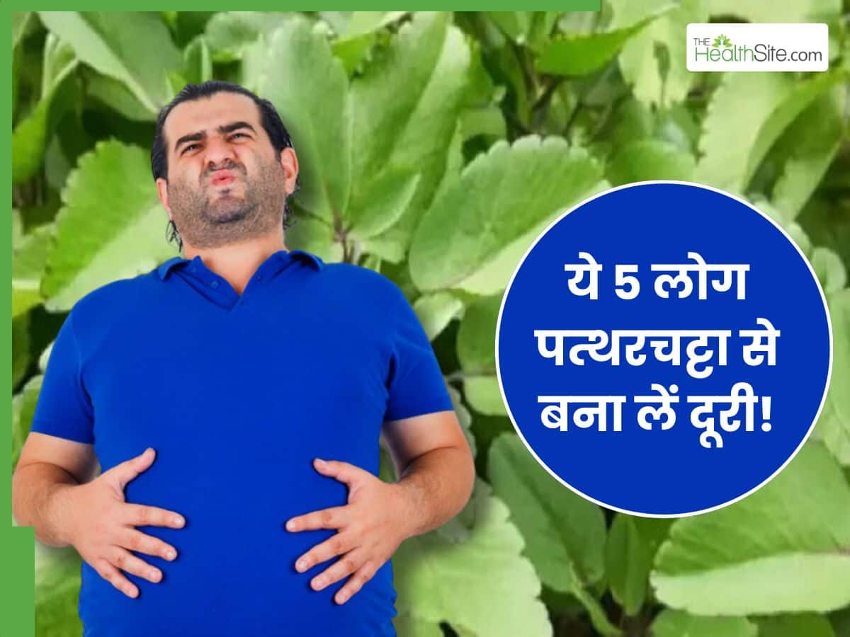 Patharchatta ke Patte Khane ke Nuksan | पत्थरचट्टा के पत्ते खाते ही बढ़ ...