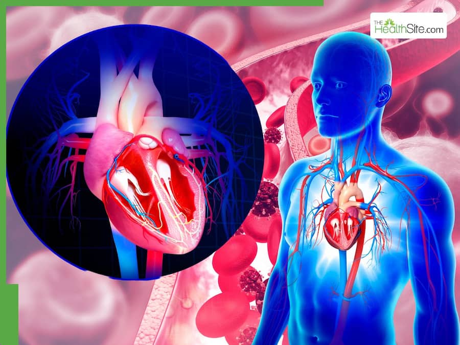 What Are The Clear Signs of a Healthy Heart? | TheHealthSite.com