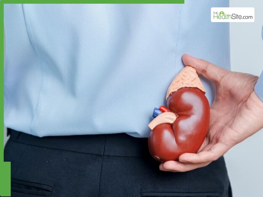 Why Do Kidney Stone Problems Surge In The Winter Season ...