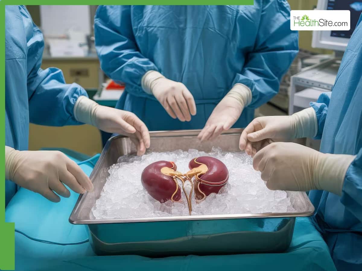 Opting For Kidney Transplant? Everything To Know Before Undergoing This ...