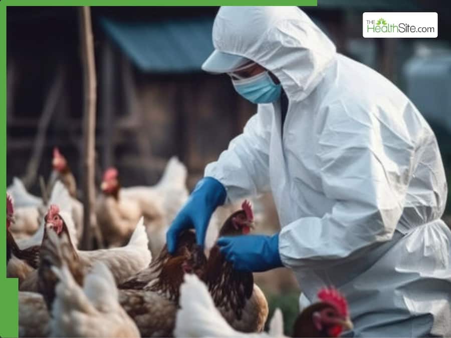 Bird Flu Outbreak in Kerala: State Sees Massive Surge in Infections ...