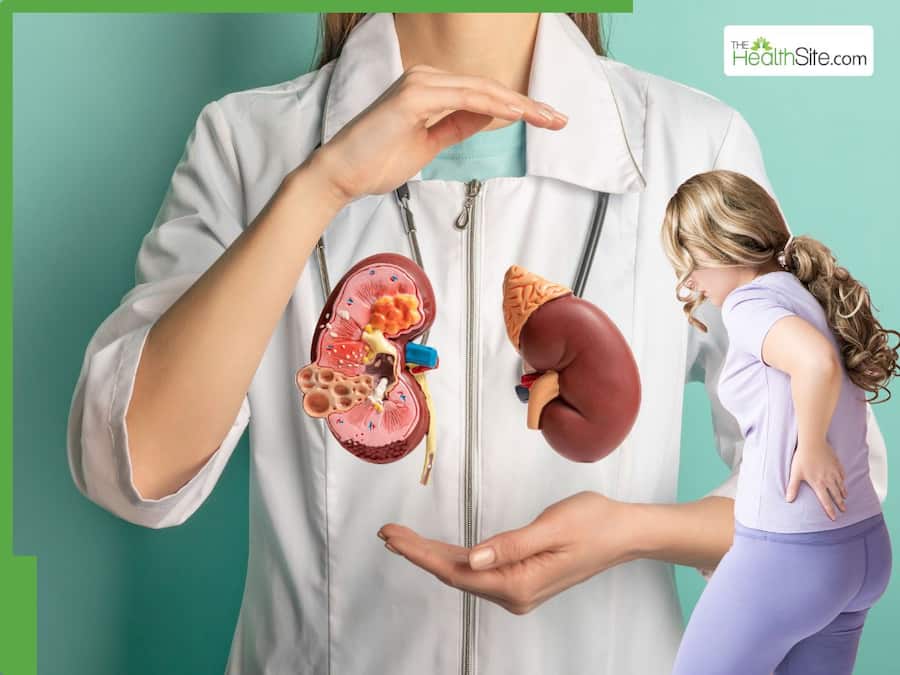 Healthy Kidney Signs: 8 Proven Indicators Your Kidneys Are Working ...