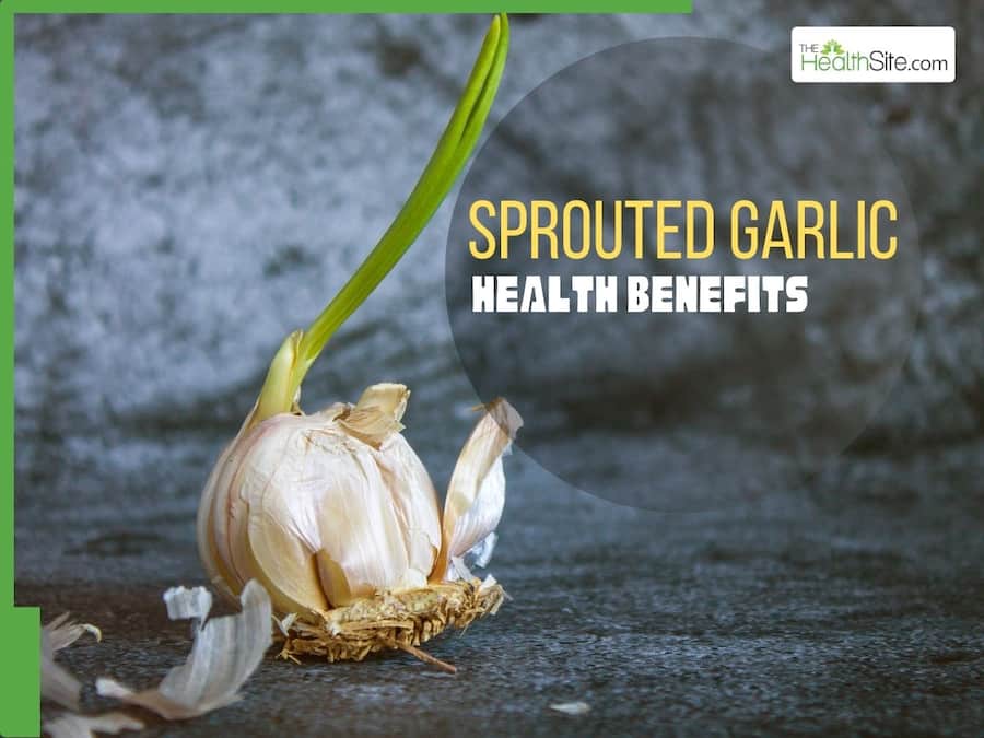 Sprouted Garlic Medicinal Benefits: 7 Reasons To Start Eating 1 Raw ...