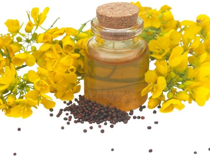 Did You Know About These 7 Health Benefits Of Cooking Food In Mustard ...