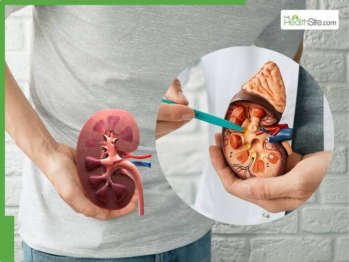 Kidney Damage Signs: 5 Body Parts That Pain When The Kidneys Are ...