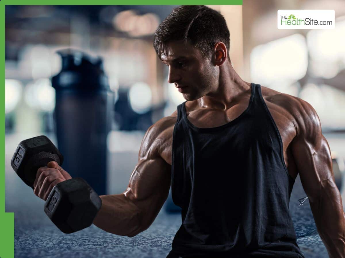 7 Powerful Gym Exercises To Build Muscles And Burn Fat Naturally ...