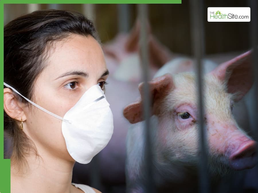 Swine Flu Virus Sweeps Through India: Country Sees Sharp Spike In Cases ...