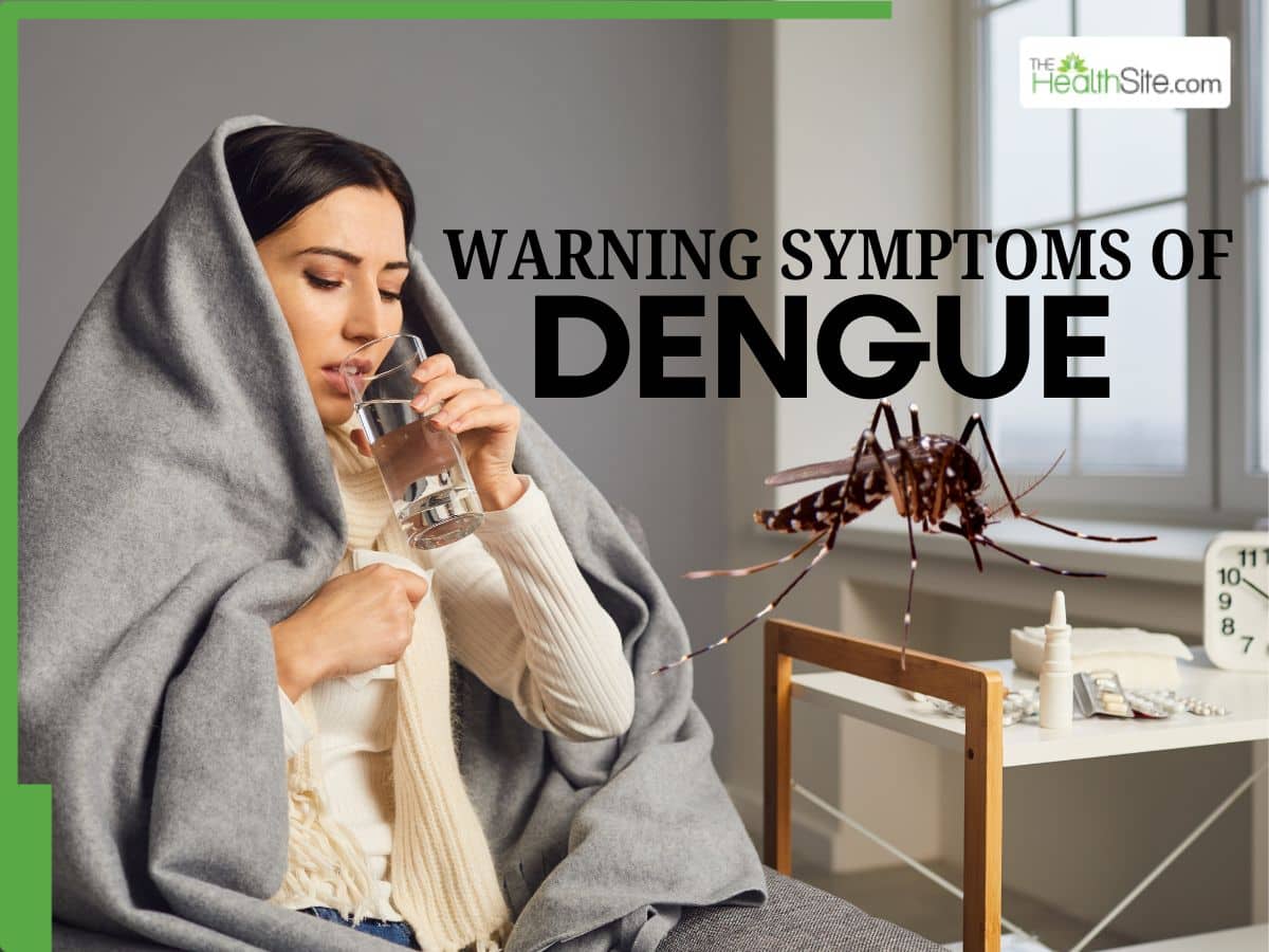 Dengue Fever Warning Signs: 7 Symptoms You Should Never Ignore — Third One Is Often Overlooked ...