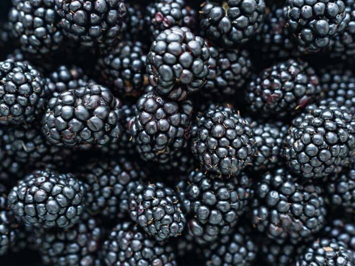 5 Best Purple Coloured Foods That Are Great For Boosting Brain Health ...
