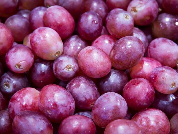 5 Best Purple Coloured Foods That Are Great For Boosting Brain Health ...