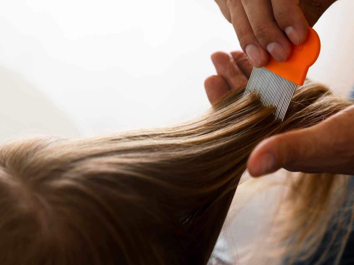 How Does Henna Cream Work? Know Everything About Natural Hair Dyeing ...