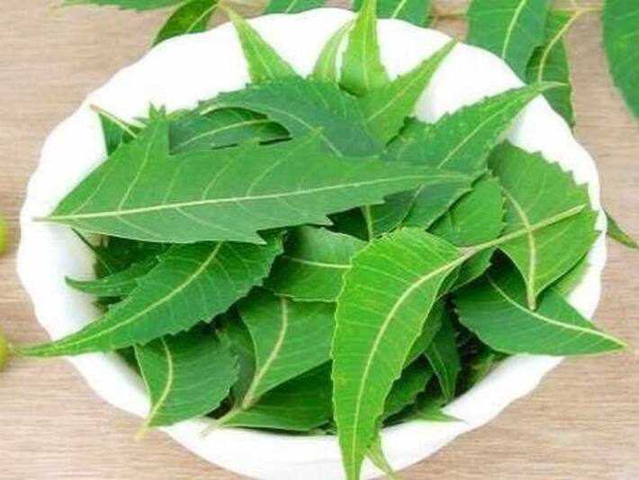 5 Healthy Reasons You Must Consume Neem Leaves Daily In Moderation ...