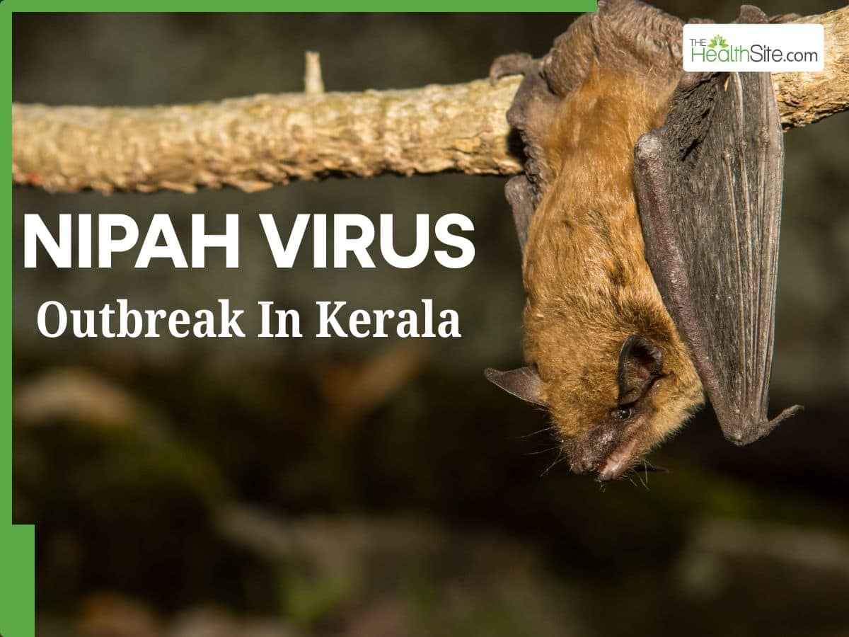 Nipah Virus Outbreak in India: 38-Year-Old Woman Critical, Kerala on ...