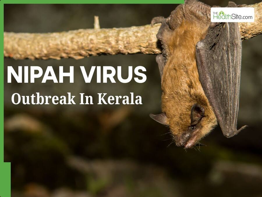 Nipah Virus Outbreak in India: 38-Year-Old Woman Critical, Kerala on High Alert After New ...