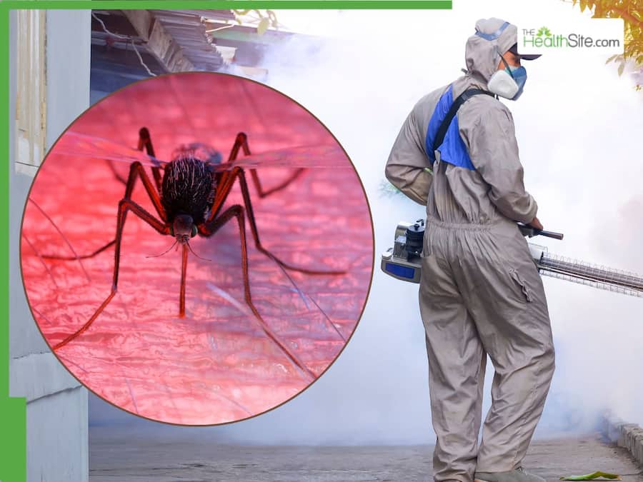 Dengue And Malaria Alert In Noida, Greater Noida, and Jewar: 39 ...