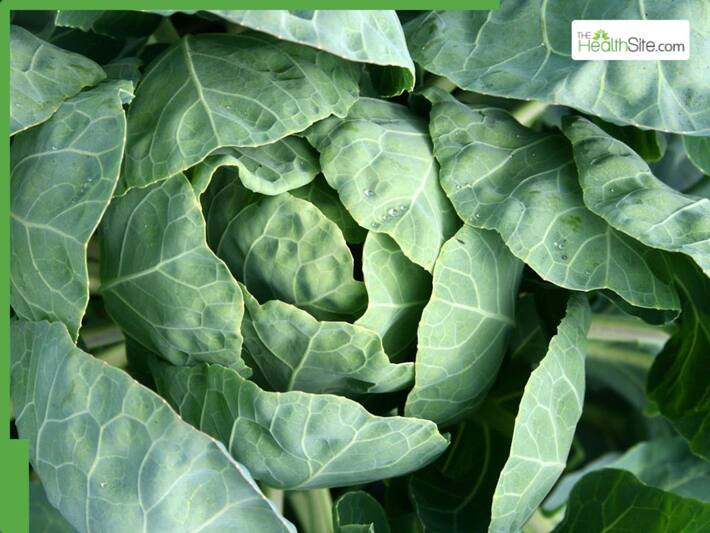 Lithium Deficiency: 6 Foods That May Help Prevent Alzheimer’s Disease ...