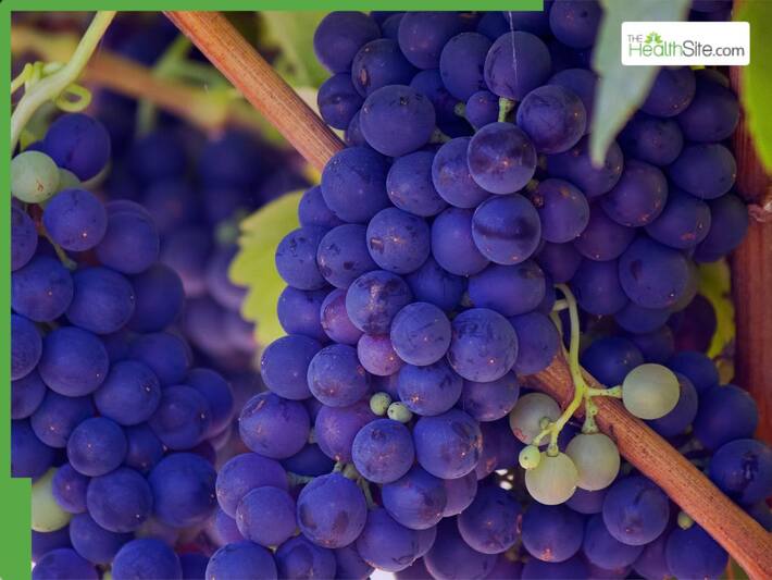 Top 5 Purple Colour Foods And Their Surprising Health Benefits You Didn ...