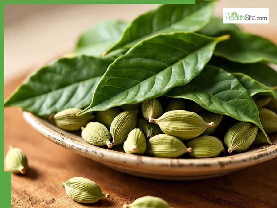 10 Medicinal Benefits of Chewing Cardamom Leaves Every Morning On An ...