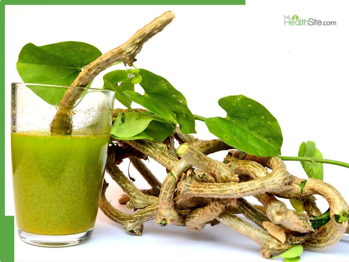 5 Medicinal Benefits of Giloy (Tinospora Cordifolia): What Happens When ...