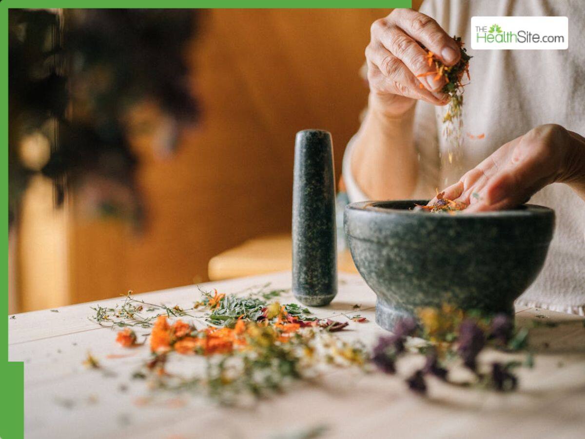 High Blood Pressure Management: 10 Medicinal Plants That Can Help ...