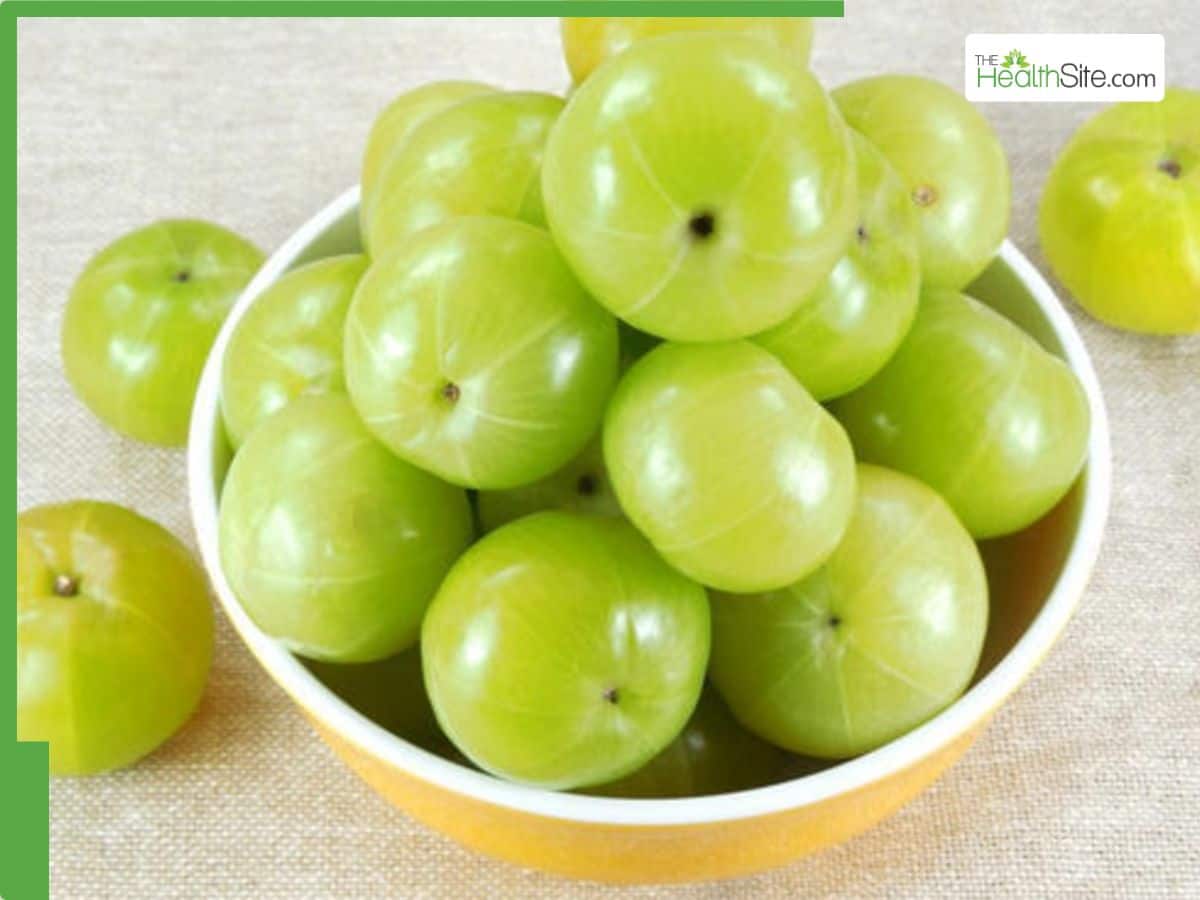 What Is the English name of Amla? Know Its Benefits | TheHealthSite.com
