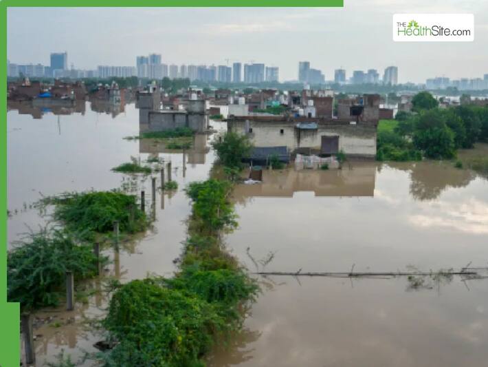 In PICS - Delhi-NCR Rains: Yamuna River Breaches Danger Mark, IMD Issues High Alert For Delhi ...