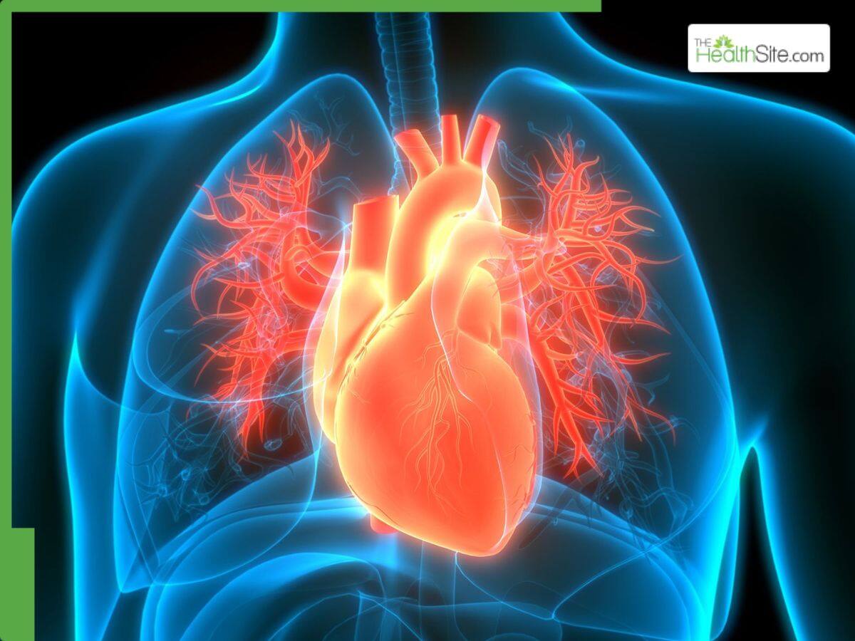 Heart Health: 5 Simple Ways To Detect Early Signs Of Heart Blockage At ...